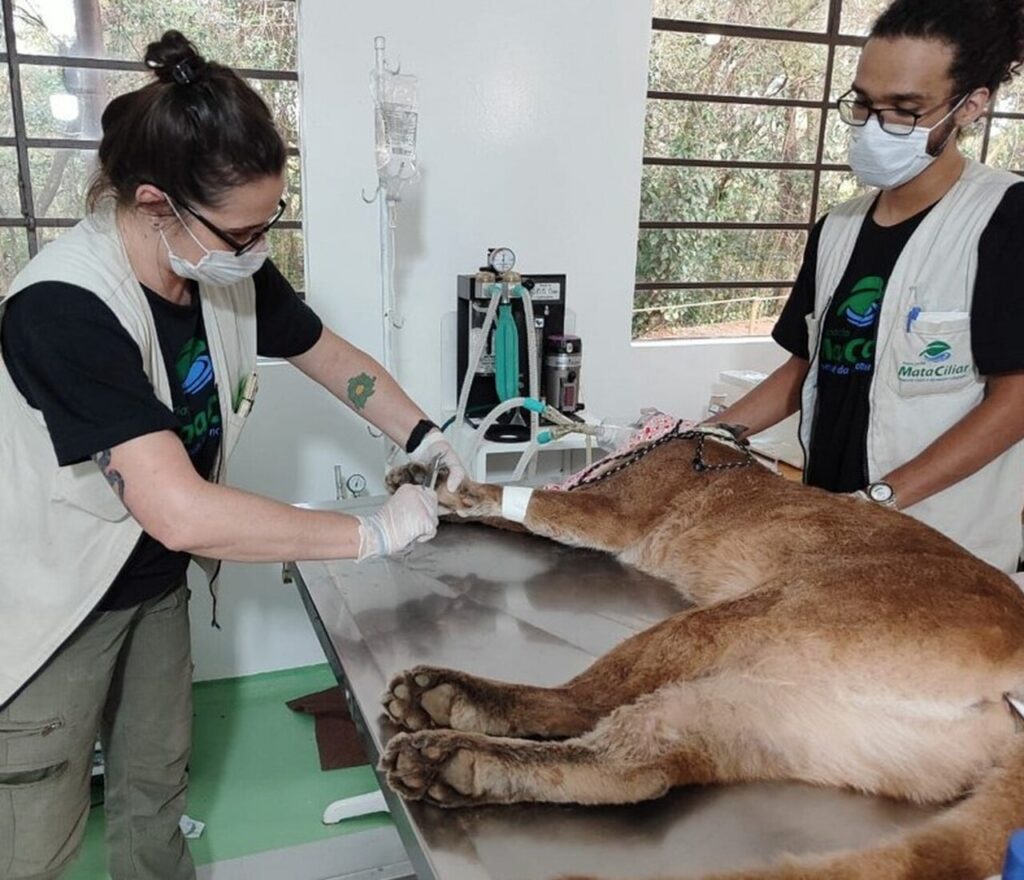 MATA CILIAR: Audiência pública hoje(19), na Alesp